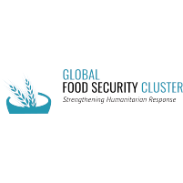 OUR PARTNERS - iMMAP