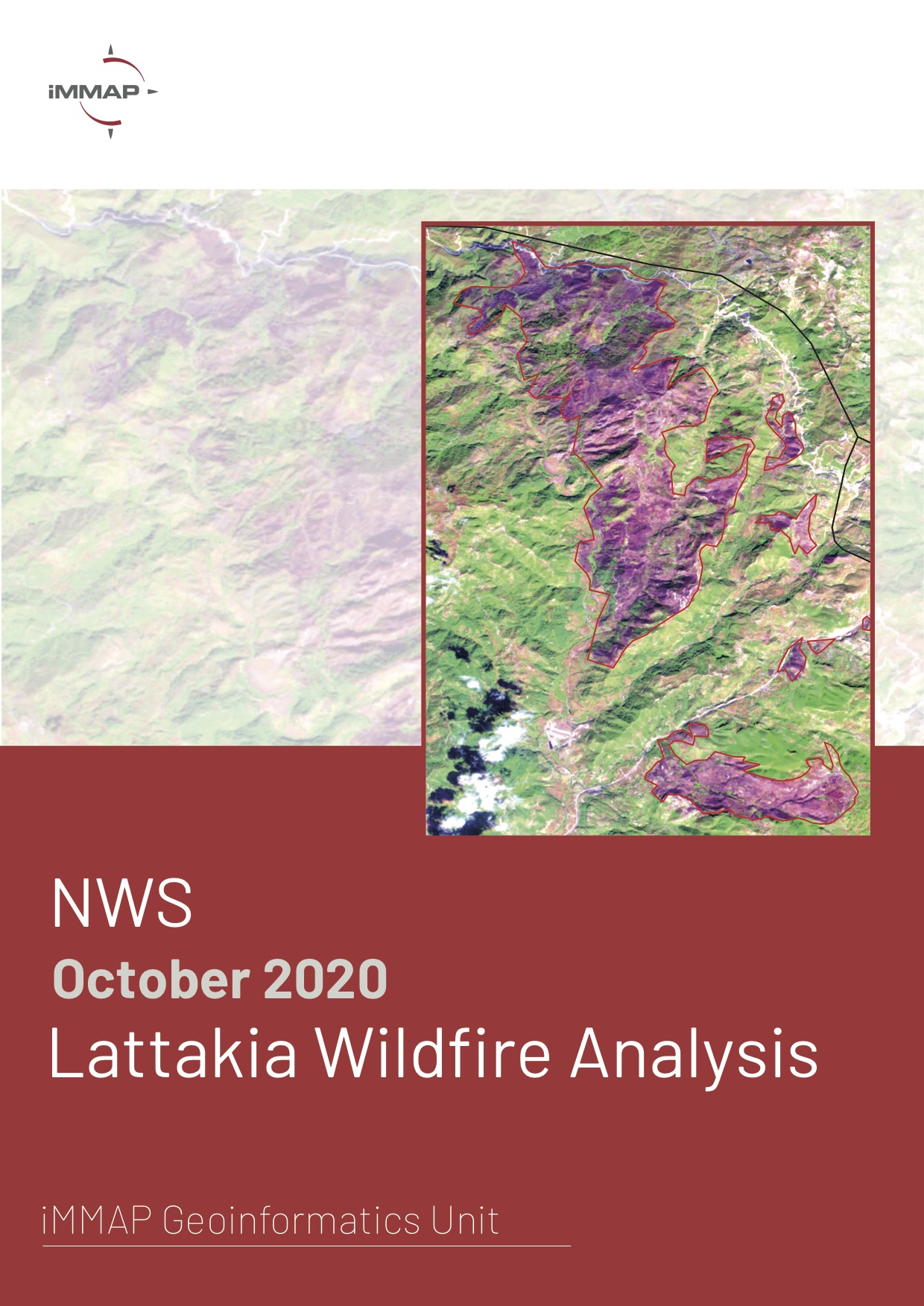 Lattakia Wildfire Analysis - iMMAP Inc.